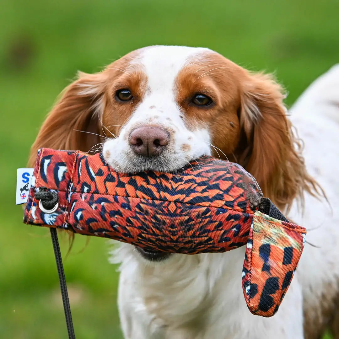 Dog Dummies for Hunting and Dog Training Outdoors – New Forest Clothing